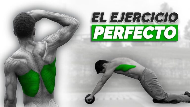 Dorsal Ancho: Guía Completa para una Espalda Poderosa | CT Entrenadores