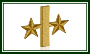 Jerarquía Militar: General de Brigada vs. División | CT Entrenadores